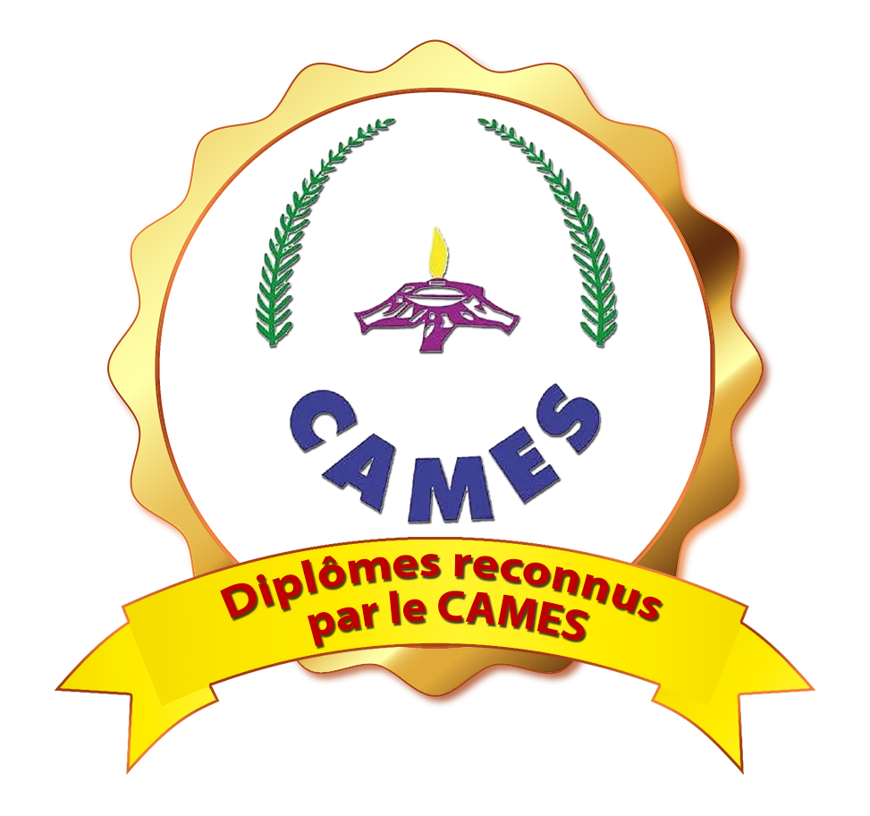 Présentation - IPSP Niger